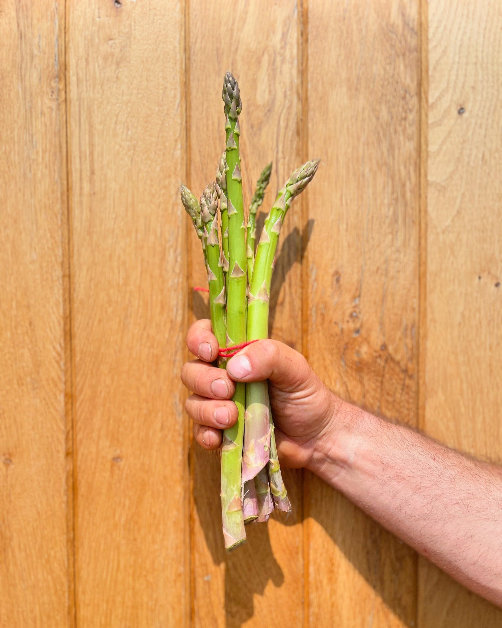 Produce – Careys Secret Garden